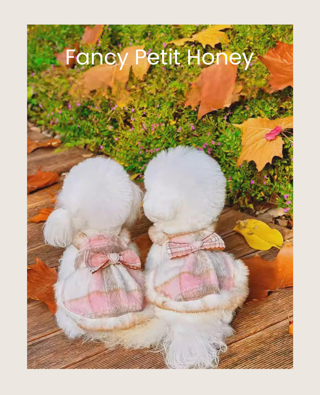 犬用ワンピース 姫系《SNX003》プリンセス 小型犬 中型犬 高級ペット服 | Fancy Petit Honey